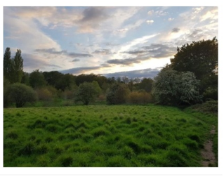 Swanshurst Park – Naturally Birmingham Future Parks Project