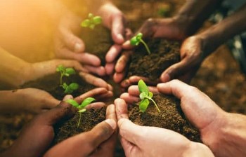 Green Champions – Naturally Birmingham Future Parks Project